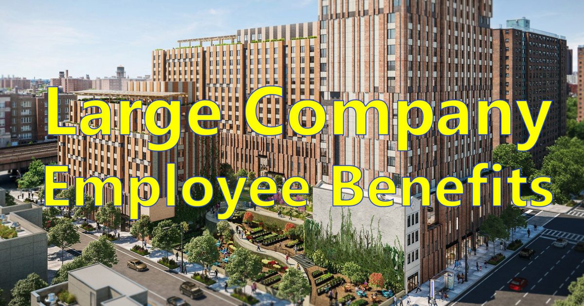 Employee Benefits That Workers Can Only Get From Larger Organizations