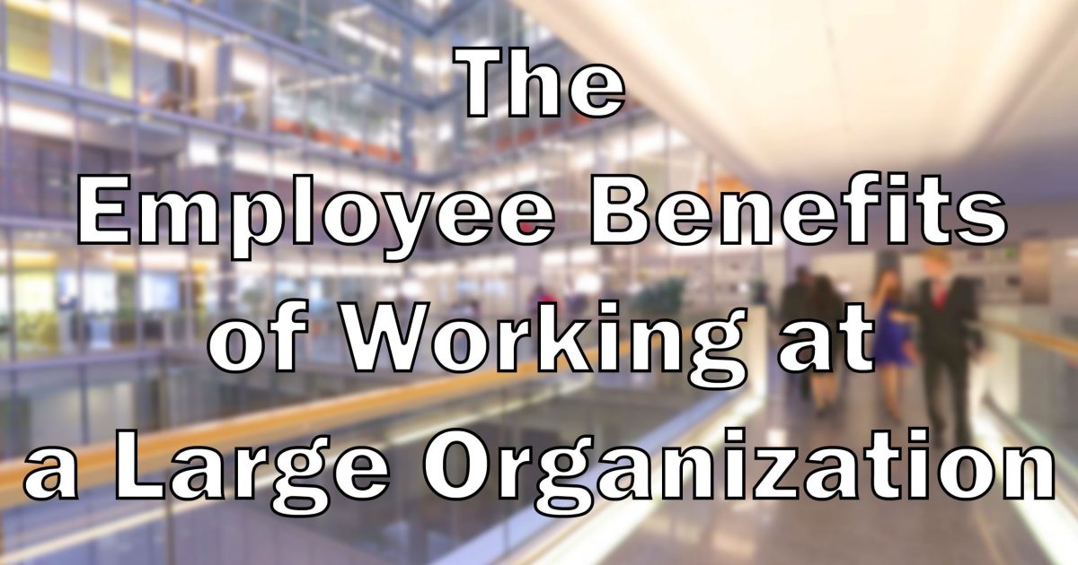 What are the Benefits for Employees Working at Large Organizations
